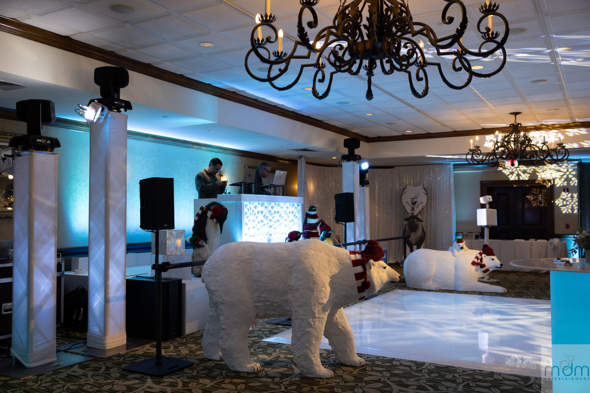 Winter Wonderland Theme Party Extravaganza: A Magical 2024 Holiday ...